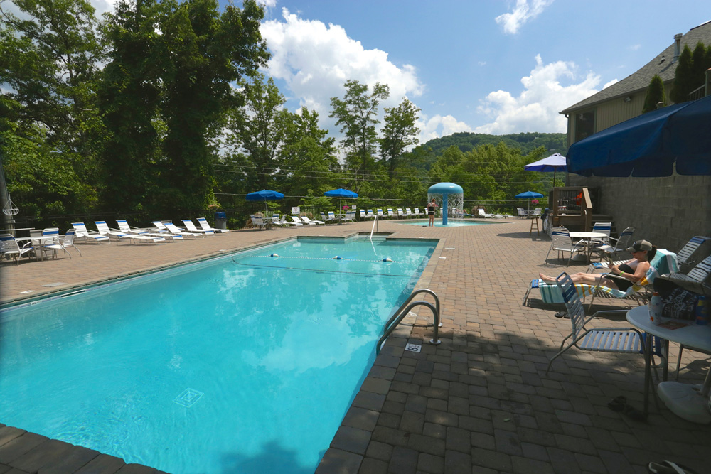 Alpine-Pool-family-2 | Chalet Village Owners Club